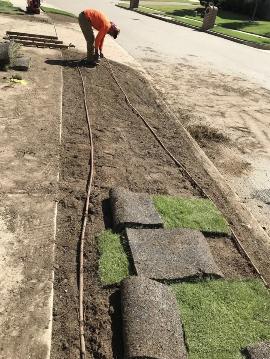 SOD INSTALLATION - Viper Land Design