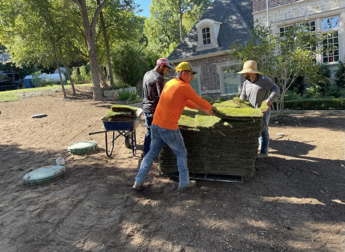 SOD INSTALLATION - Viper Land Design