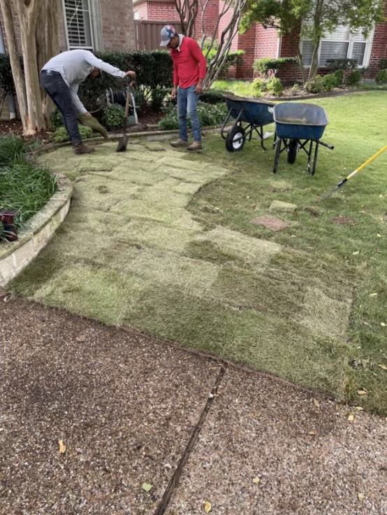 SOD INSTALLATION - Viper Land Design