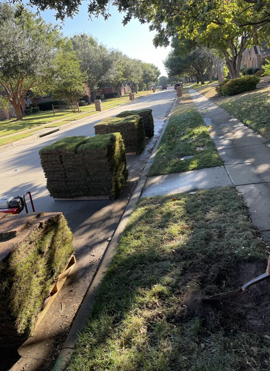 SOD INSTALLATION - Viper Land Design