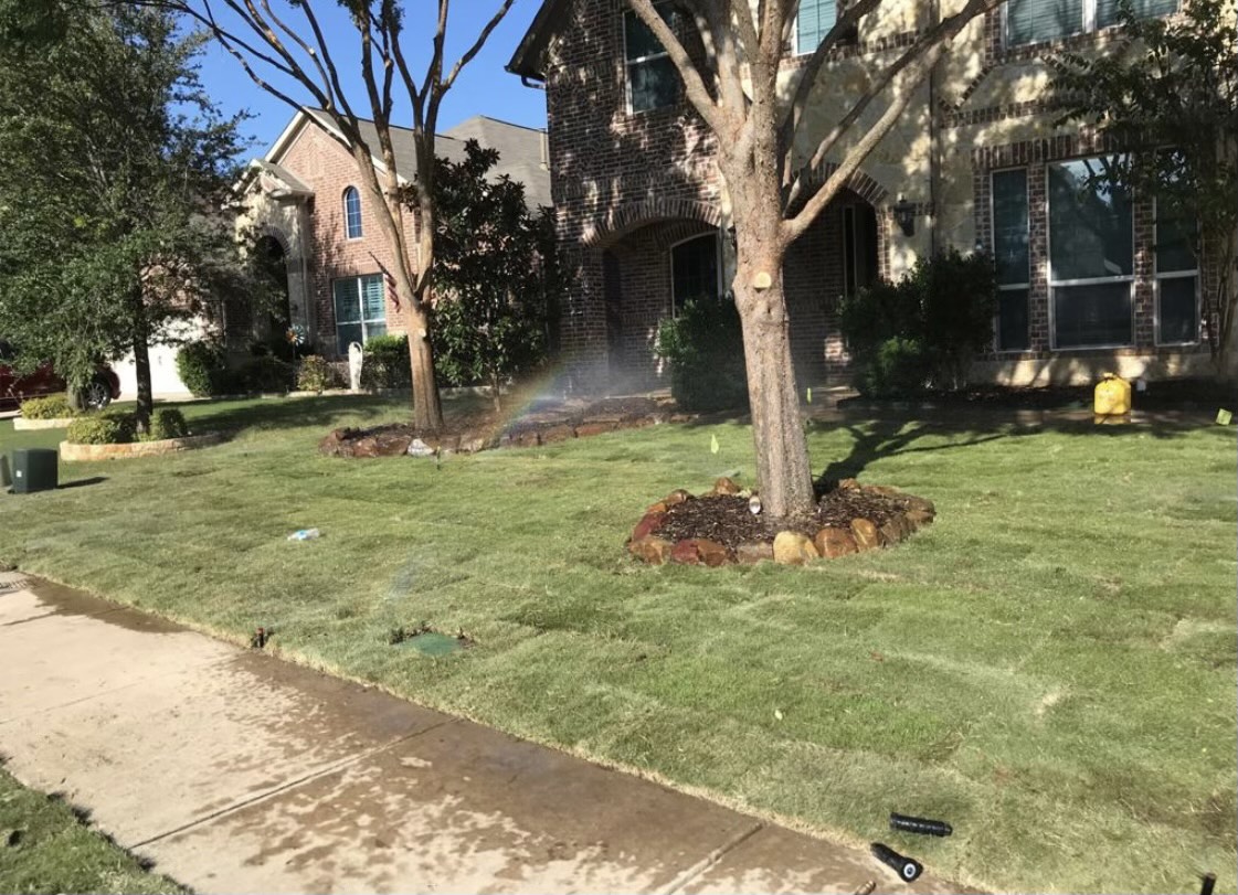SOD INSTALLATION - Viper Land Design
