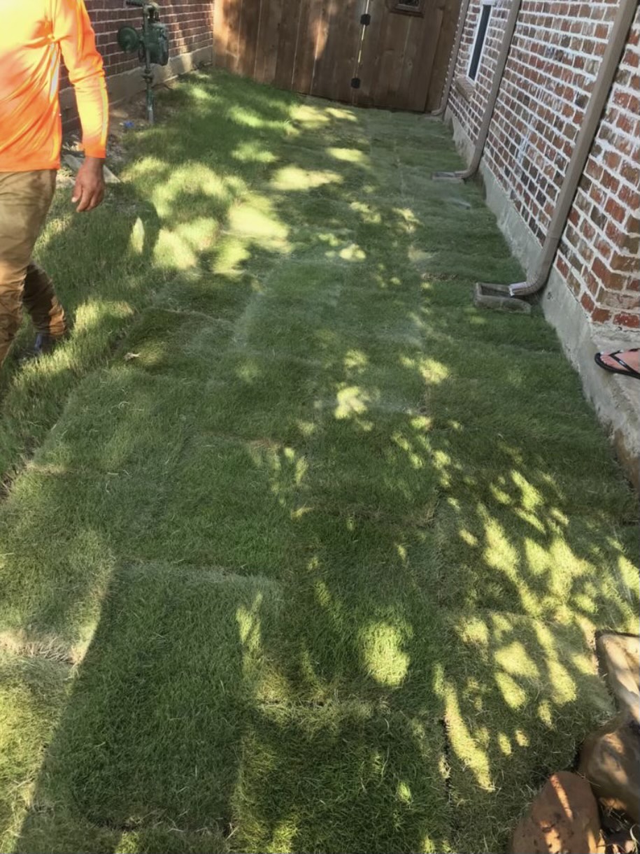 SOD INSTALLATION - Viper Land Design