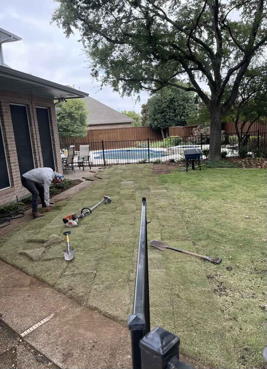 SOD INSTALLATION - Viper Land Design